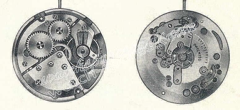 ETA 2391 - www.watchsparesparts.com